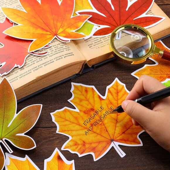 Other | Fall Bulletin Board Decorations Fall Cutouts For Classroom ...